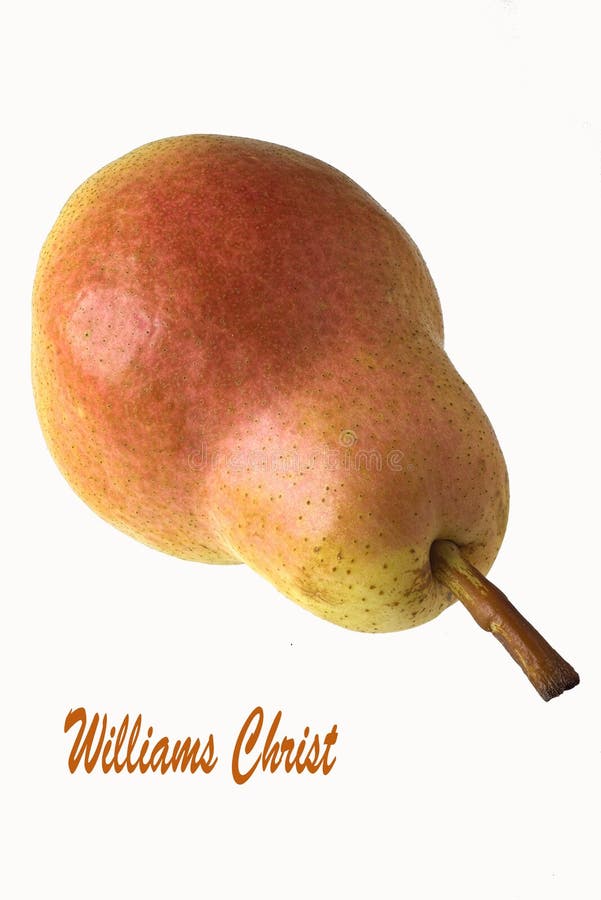 Pear Variety `Williams Christ Stock Image - Image of food, variety ...
