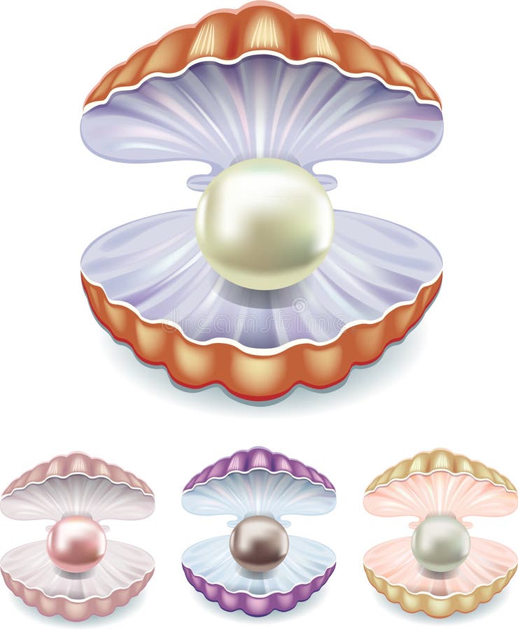 Pearl in the shell stock vector. Illustration of seashell - 32659402