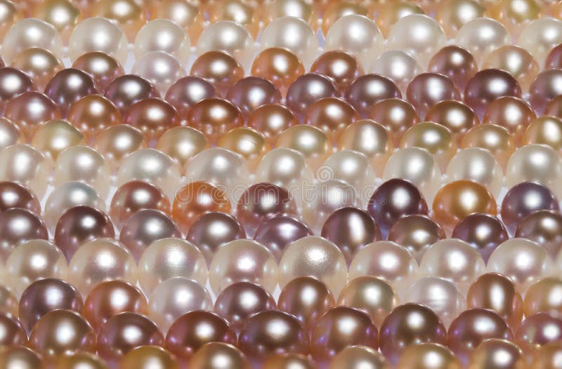 Pearl background stock photo. Image of perfection, white - 25491334
