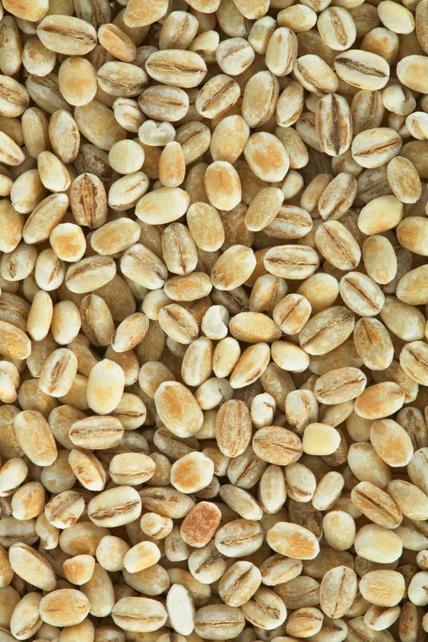Pearl Barley Pearled Whole Grain Food Stock Image - Image of spoon ...