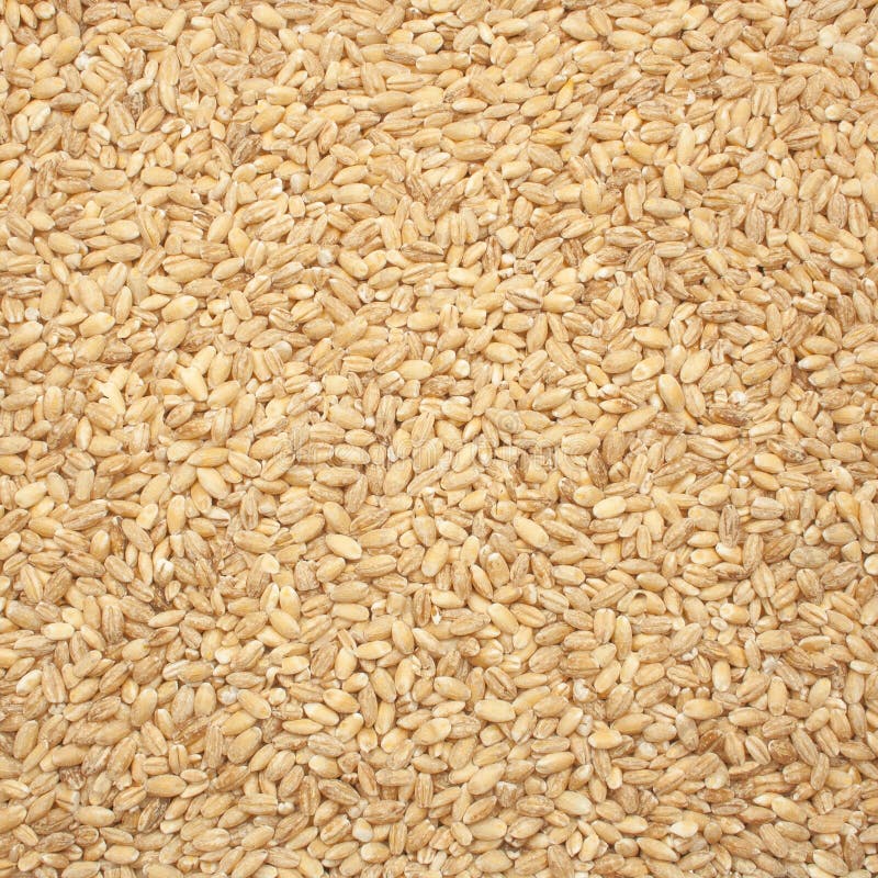 Pearl barley close-up stock photo. Image of heap, carbohydrate - 63320386