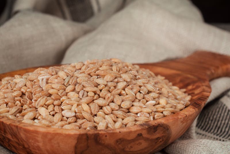 Pearl Barley Grains in Wooden Spoon Stock Photo - Image of closeup ...