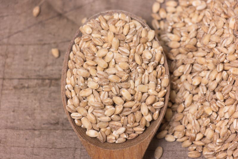 Pearl barley stock photo. Image of healthy, grained, kernels - 63878900