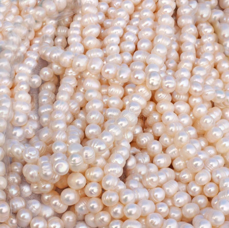 Pearl beads stock photo. Image of natural, wear, white - 6956862