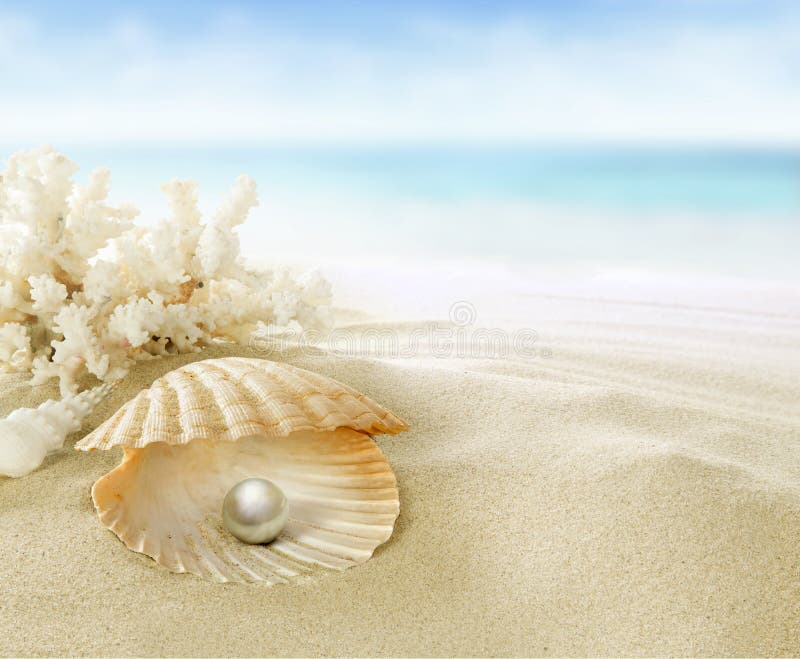 Pearl in coral reef stock photo. Image of background - 54060198