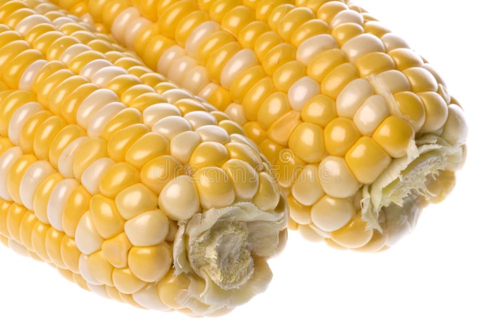 Pearl Corn Isolated stock photo. Image of corn, veggies - 6538726