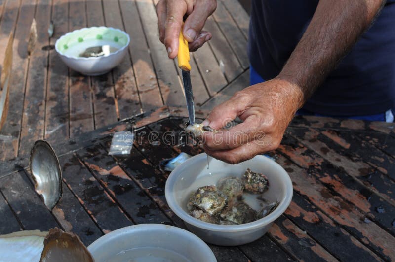 Pearl extraction stock image. Image of green, extract - 89770011