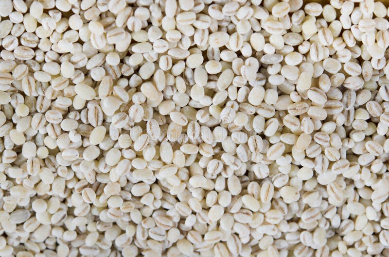 Pearl grain stock image. Image of brown, beige, texture - 32067789