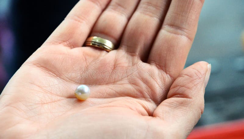 Pearl on the hand stock image. Image of gold, hand, vietnam - 54797125