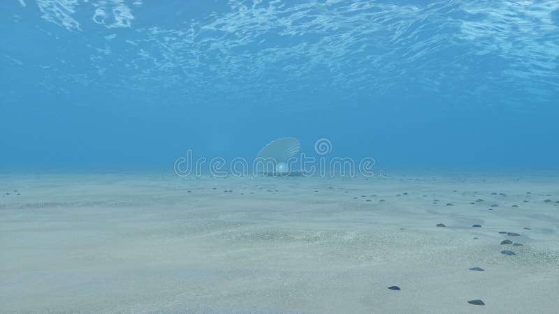 Pearl Inside a Seashell. Beautiful Pearl in the Shell on the Seabed ...
