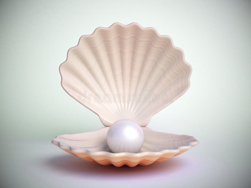 3d Rendering of a Pearl in a Shell Isolated in White Background Stock ...