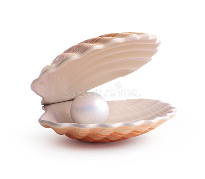 Pearl Inside Seashell 3d Rendering Stock Illustration - Illustration of ...