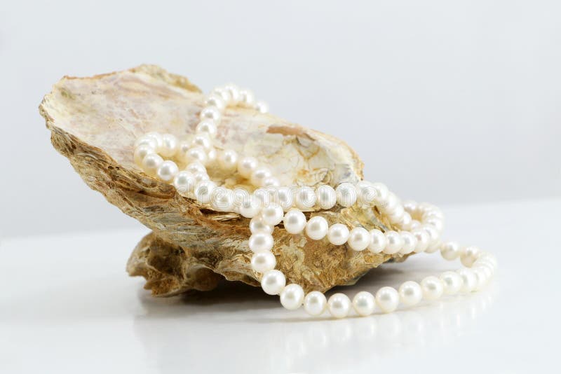 Pearl Necklace, upon a Fossil Oyster Shell Stock Photo - Image of ...