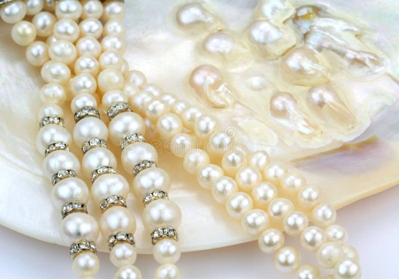 Pearl Necklace with Natural Pearls in a Oyster Shell Stock Image ...