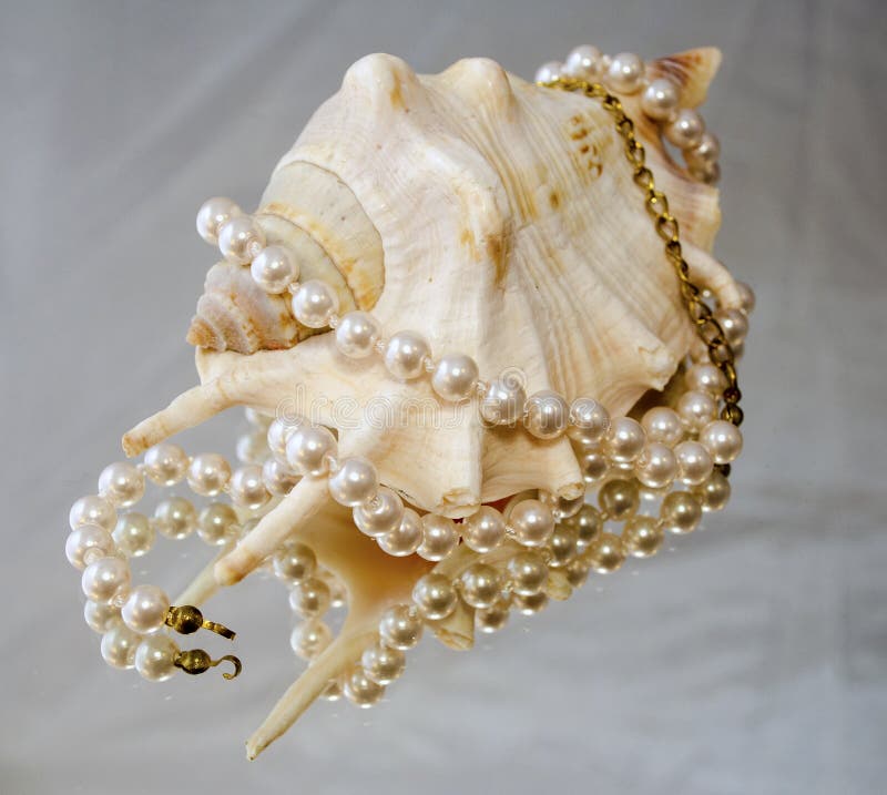 Pearl necklace on shell stock image. Image of ecology - 42979233