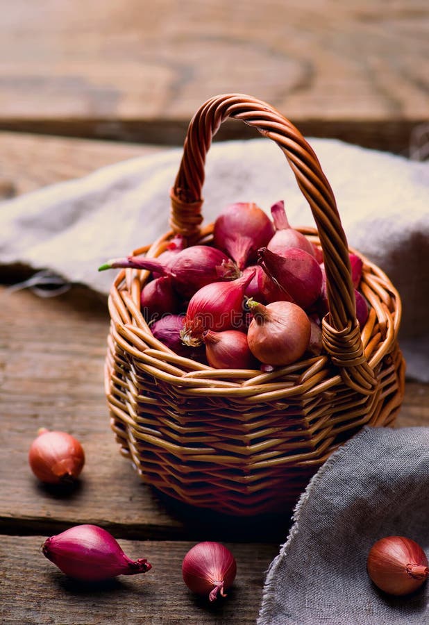 The pearl onion stock photo. Image of tree, produce - 251627558