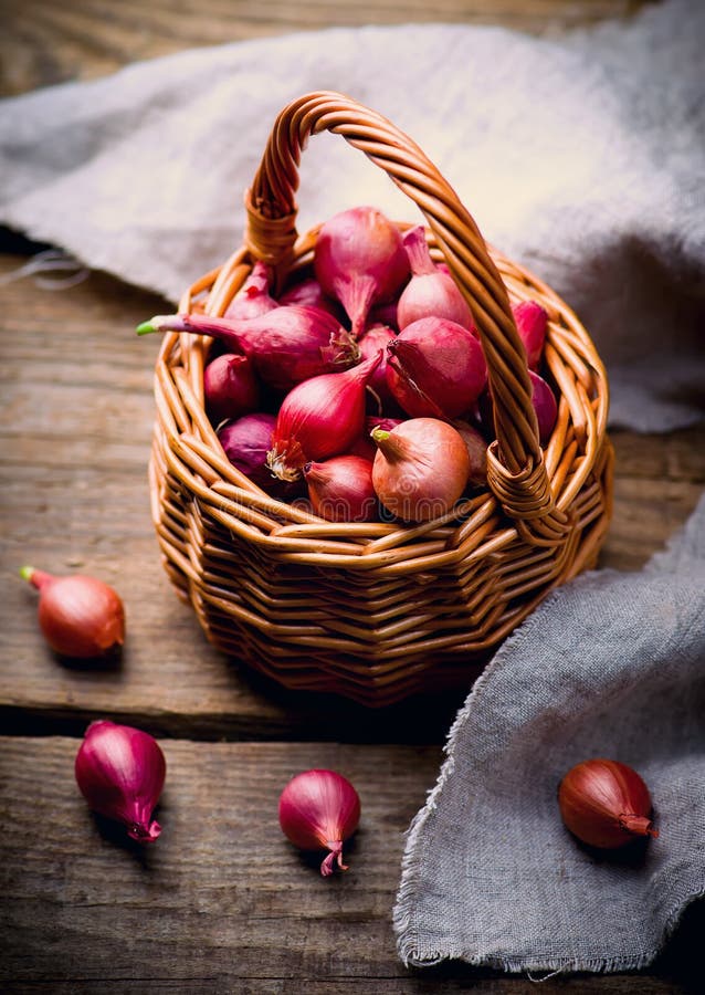 The pearl onion stock photo. Image of tree, produce - 251627558