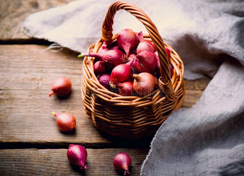 The pearl onion stock photo. Image of tree, produce - 251627558