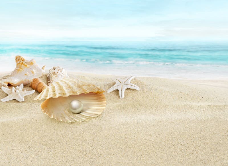 Shell with a pearl stock photo. Image of lagoon, destinations - 18479050