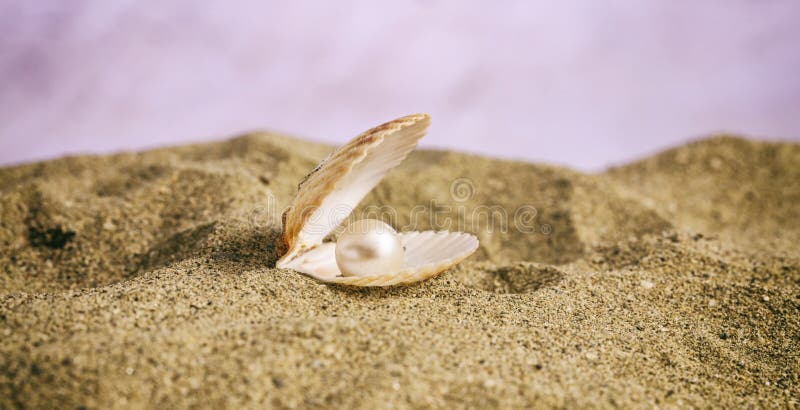 Pearl on the seashell stock image. Image of nature, dive - 10005201