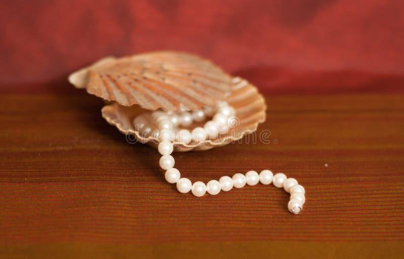 Pearl and seashell stock photo. Image of natural, nature - 35178918
