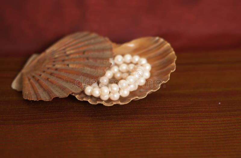 Pearl and seashell stock photo. Image of closeup, natural - 35215054