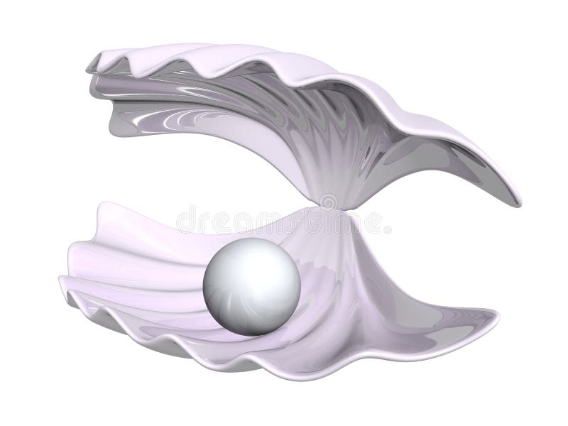 Pearl in shell stock illustration. Illustration of pearl - 11370588