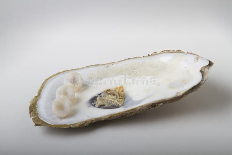Pearl on shell stock photo. Image of jewelry, blue, malpeque - 18572888