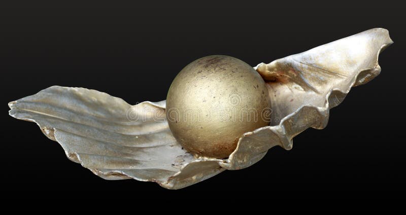 Image of a White Pearl in a Shell on a White Stock Image - Image of ...