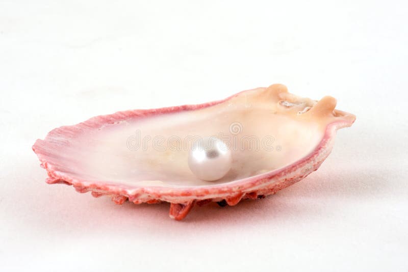 Pearl and shell stock image. Image of ball, tropical, coral - 7580455
