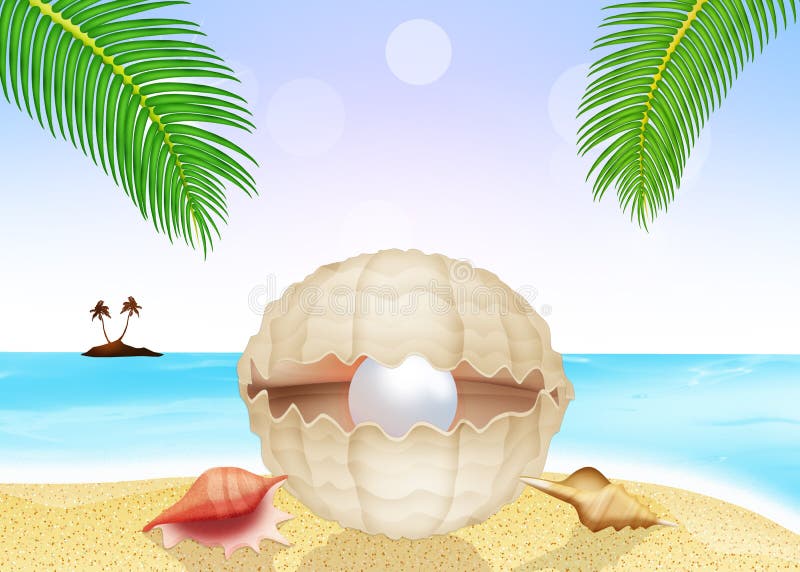 Pearl in the Shell on the Beach Stock Illustration - Illustration of ...
