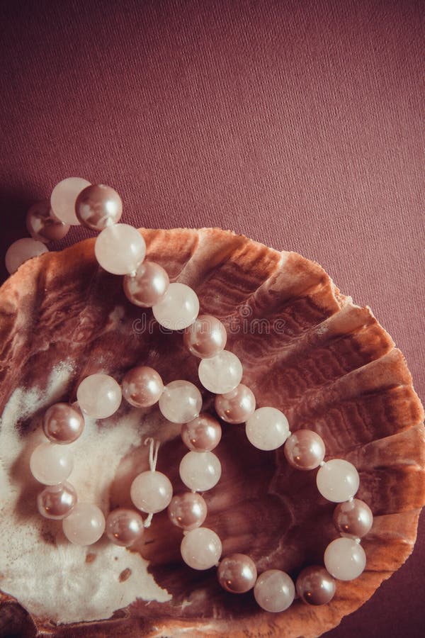 Pearl Shell on Bright Background Stock Image - Image of dental, beauty ...