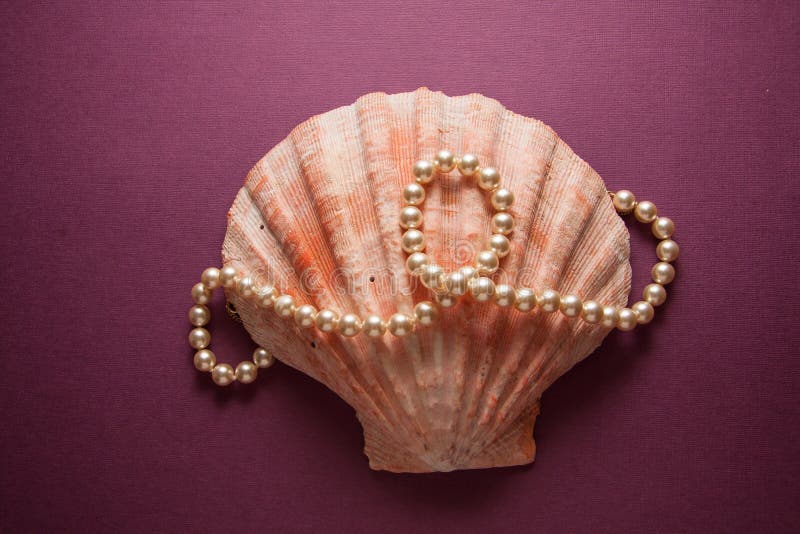 Pearl Shell on Bright Background Stock Image - Image of overbite ...