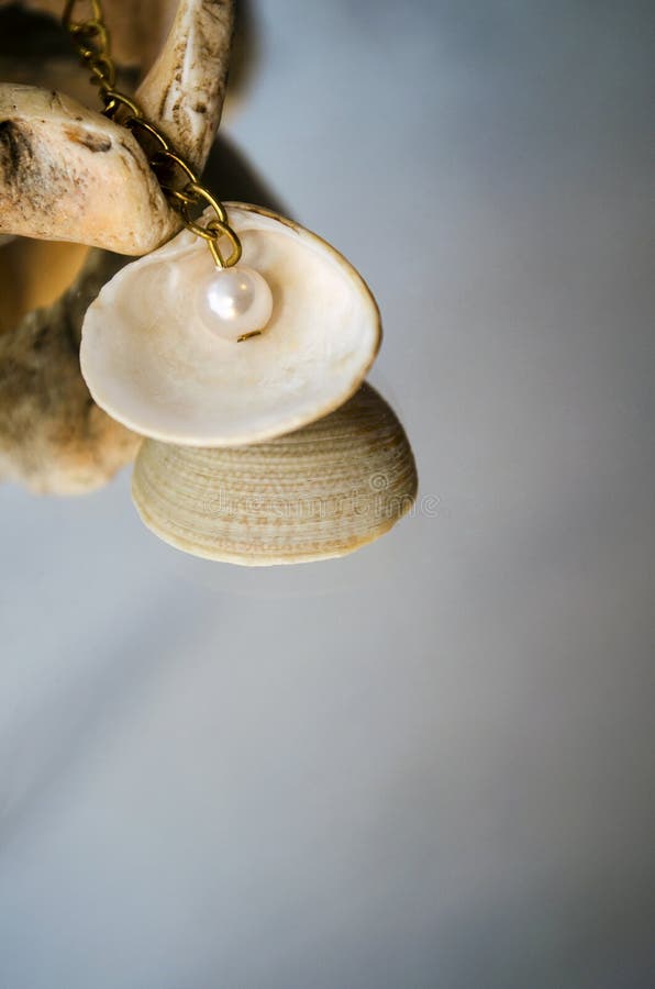 Pearl in shell stock photo. Image of pearl, nature, detail - 42981954