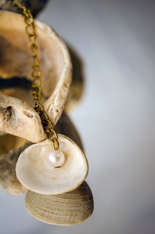 Pearl in shell stock photo. Image of calm, colour, apparel - 42979114