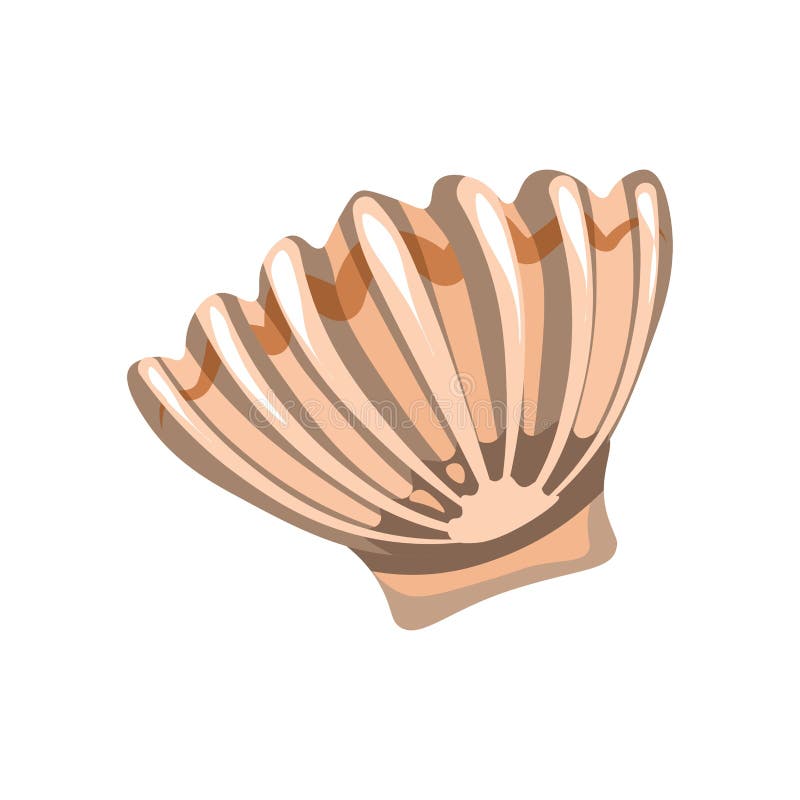 Pearl and Mollusk Inside of Nacre Seashell, Colored Sketch Vector ...