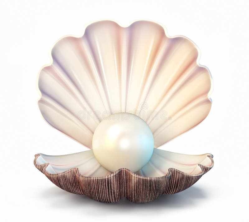 Pearl Shell Realistic Close Up Image Stock Vector - Illustration of ...