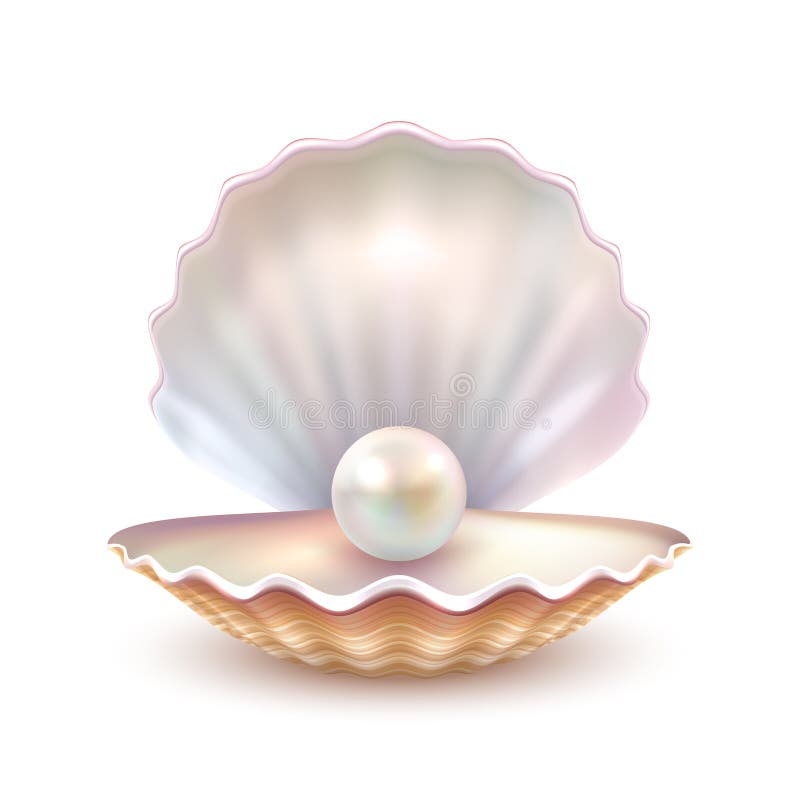 Pearl In Shell Drawing