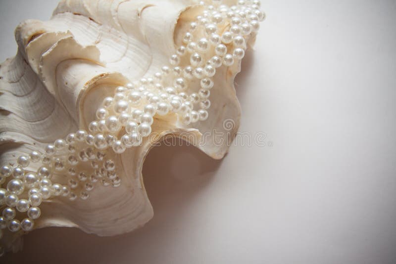 Pearl shell stock photo. Image of dentist, healthcare - 75032790