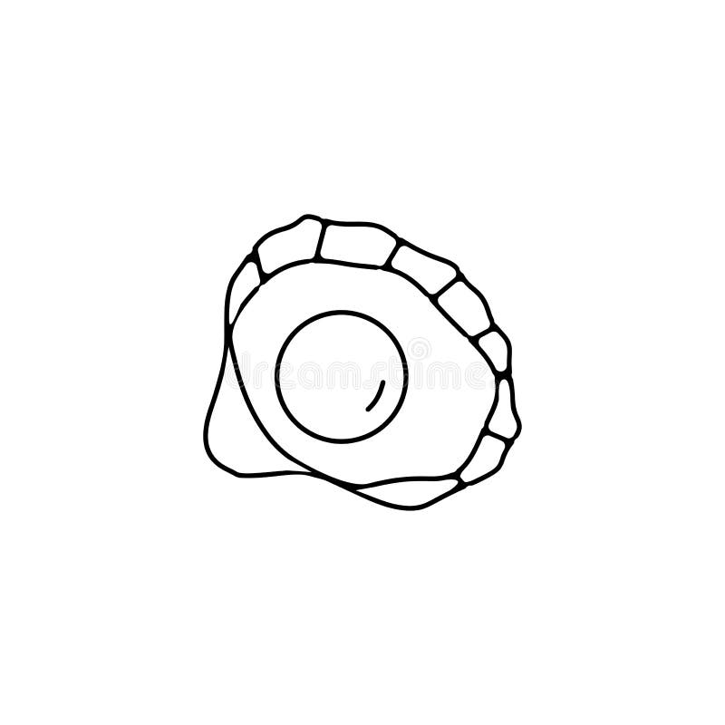 Pearl in a Shell Thin Line Icon. Pearl in a Shell Linear Outline Icon ...