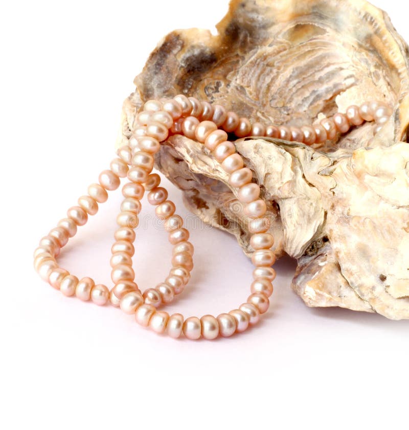 Pearl string stock photo. Image of oyster, fashion, beauty - 17442780