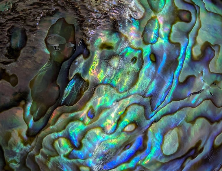 Pearl Texture from Exotic Shell Stock Photo - Image of background ...