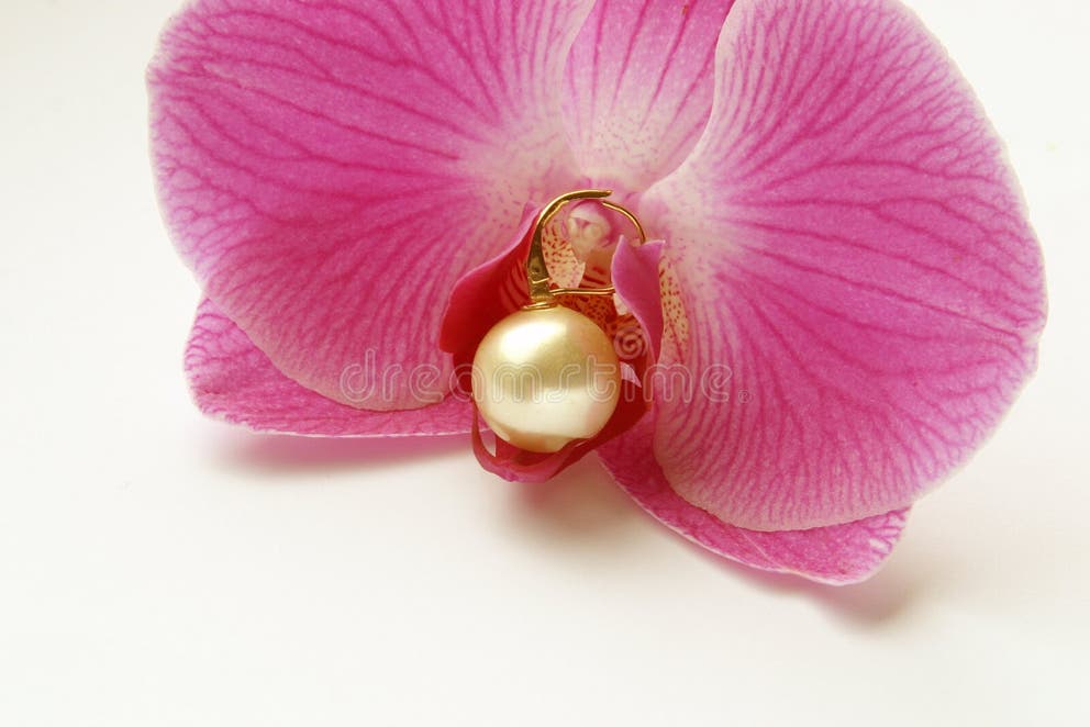 Pearl Throne stock image. Image of engagement, ecology - 709873