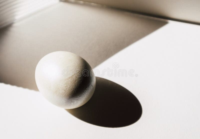 A Pearl White Egg Casts a Strong Shadow on a White Surface, Light and ...