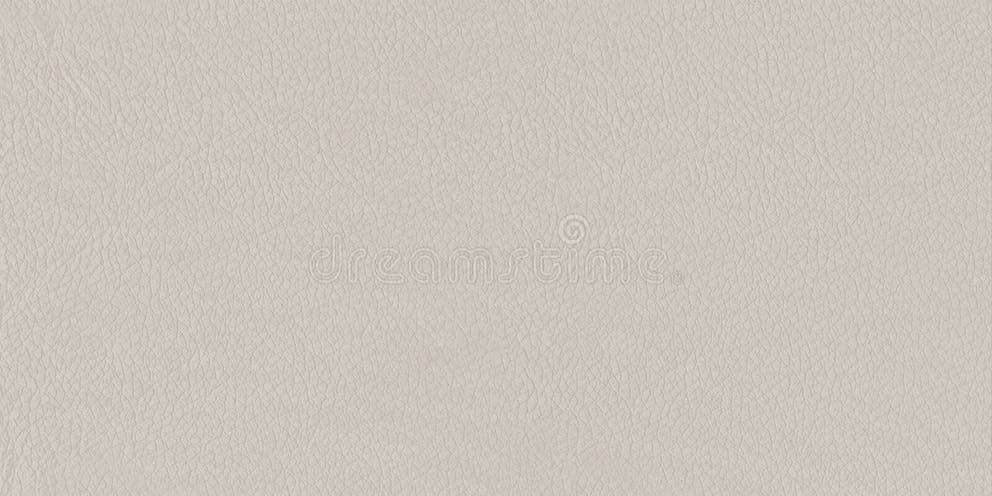 Fashion Model White Background 4k Wallpaper Laptop Stock Photos - Free ...