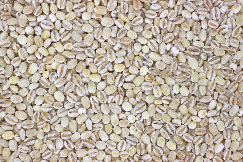 Pearled barley stock image. Image of husks, pearled, grain - 16754017