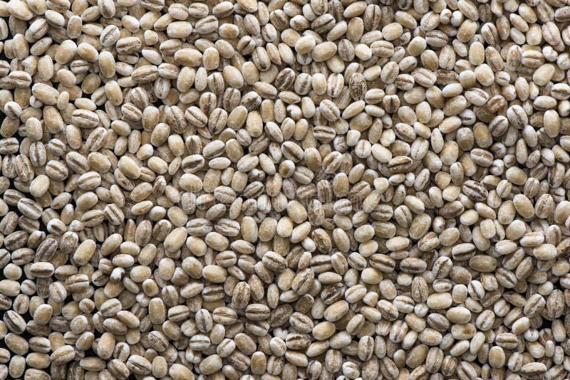 Pearled Barley grains stock photo. Image of natural, grains - 90106784
