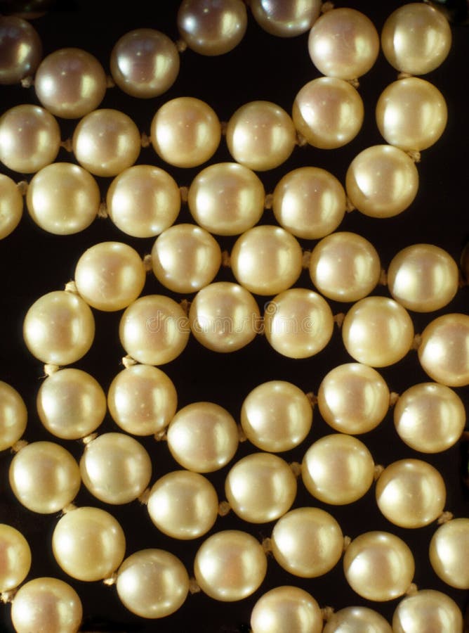 Pearls stock image. Image of color, personal, pearl, fashion - 1766959