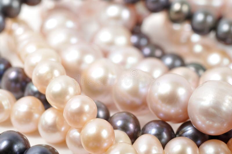 Pearls stock image. Image of market, jewel, oyster, pearl - 25659419