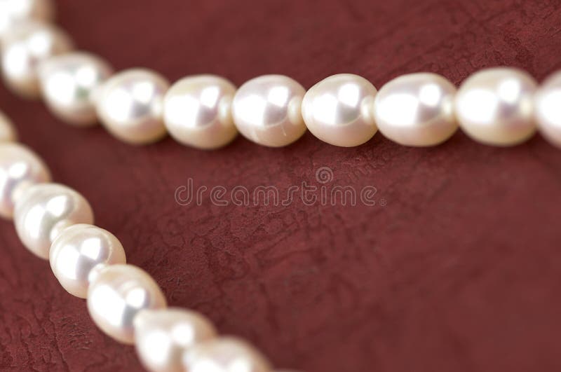 Pearls stock image. Image of beads, macro, jewel, close - 395365